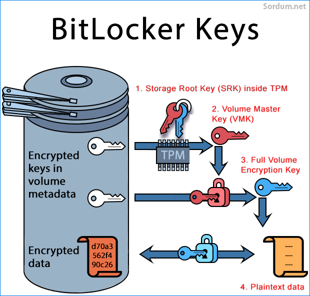 Bitlocker ve Cihaz şifreleme arasındaki farklar